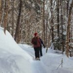 Jacques-Cartier: National Park Entry Ticket & Snowshoeing - The Value of a Snowshoeing Day in Jacques-Cartier