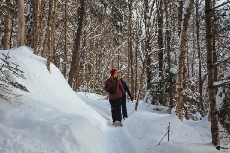 Jacques-Cartier: National Park Entry Ticket & Snowshoeing - The Value of a Snowshoeing Day in Jacques-Cartier