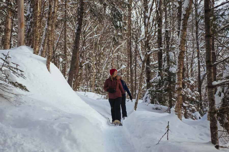 Jacques-Cartier: National Park Entry Ticket & Snowshoeing - The Value of a Snowshoeing Day in Jacques-Cartier
