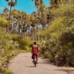 Jaffna City Tuk Tuk Adventure  Explore Like a Local! - The Itinerary Breakdown: What to Expect