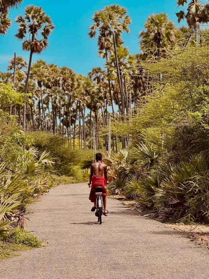 Jaffna City Tuk Tuk Adventure  Explore Like a Local! - The Itinerary Breakdown: What to Expect