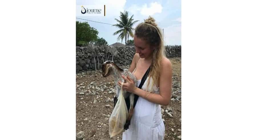 Jaffna: Delft Island Overnight Tour with Tamil Village Stay - What Travelers Say