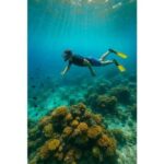Jaffna Snorkeling Adventure: Explore Marine Wonders - What to Expect from the Snorkeling Tour
