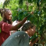 Jaffna: Tamil Farming Experience with Local Farmers - What Makes This Tour a Great Choice?