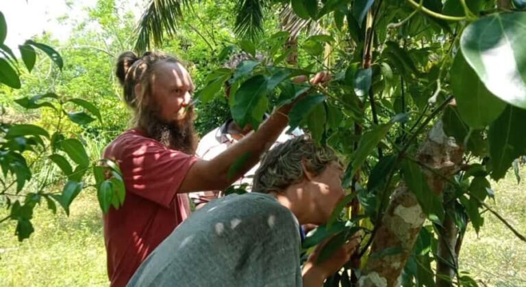 Jaffna: Tamil Farming Experience with Local Farmers - What Makes This Tour a Great Choice?