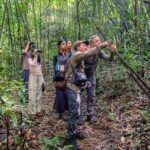 Jahoo: Gibbon Tracking Walk in Keo Seima Wildlife Sanctuary - What Makes This Tour Valuable