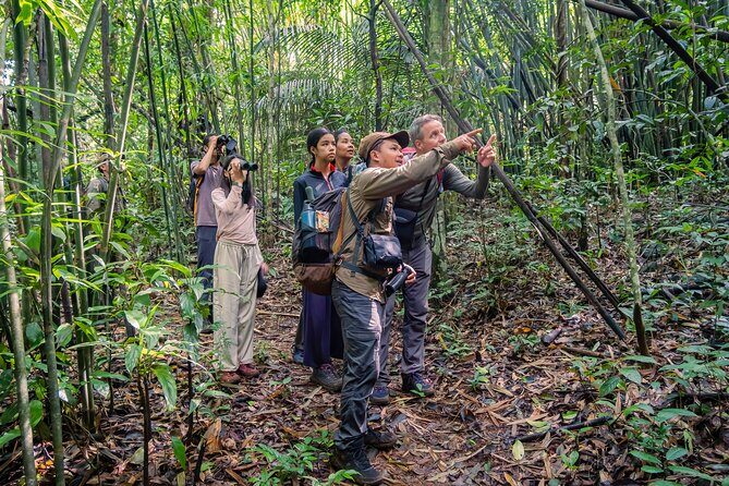Jahoo: Gibbon Tracking Walk in Keo Seima Wildlife Sanctuary - What Makes This Tour Valuable