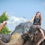 Jaipur Elephant Village: All Activity in Village with Pickup - The Itinerary in Detail