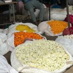 Jaipur Full-Day Tour with Car Guide, Flower Market & Bazaars - What the Tour Includes & Excludes