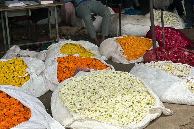 Jaipur Full-Day Tour with Car Guide, Flower Market & Bazaars - What the Tour Includes & Excludes