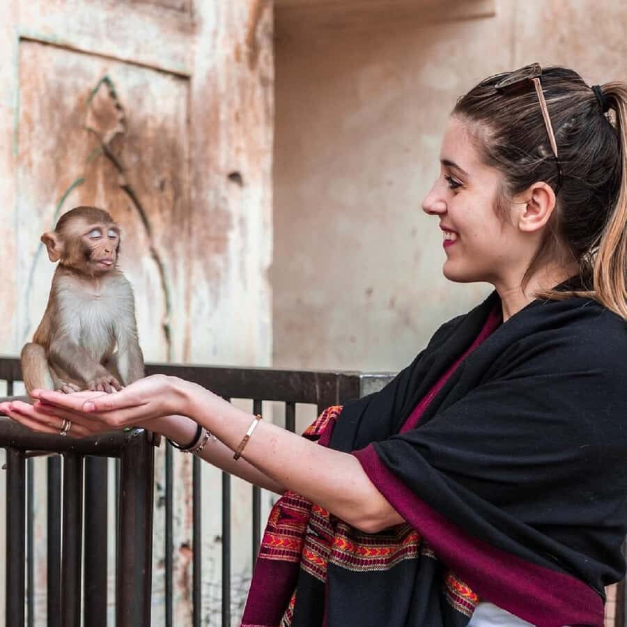 Jaipur: Half or Full-Day Sightseeing Tour with Guide+ Pickup - The Practicalities: What to Expect