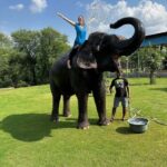 Jaipur: Hathigao Elephant Village Ride, Feeding, & Photos - Analyzing the Value