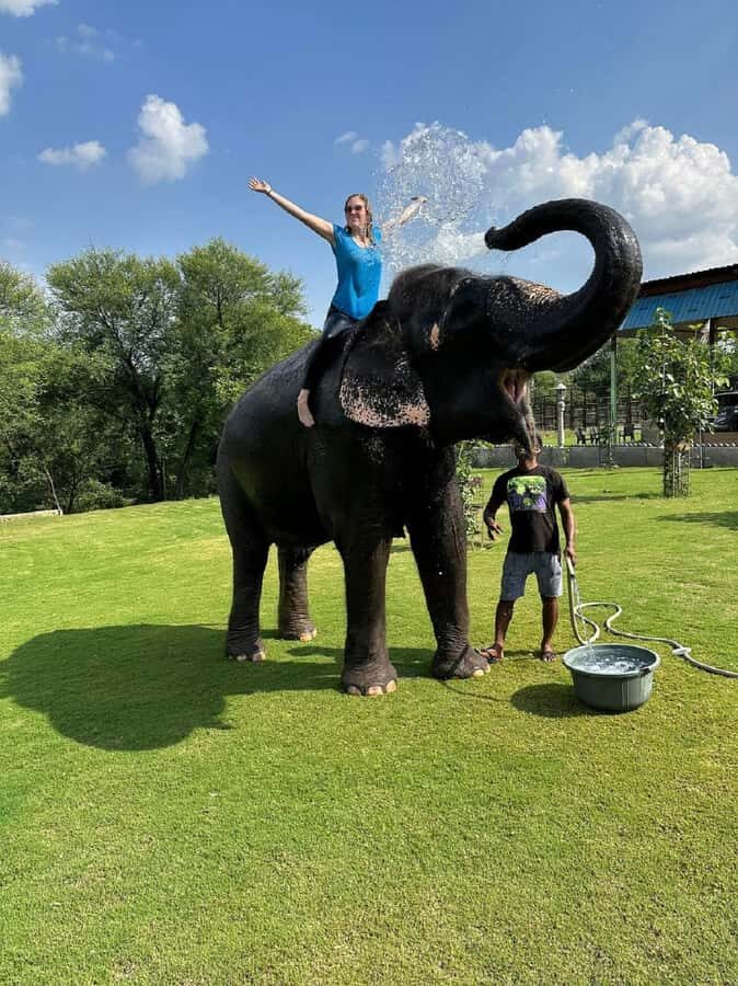 Jaipur: Hathigao Elephant Village Ride, Feeding, & Photos - Analyzing the Value