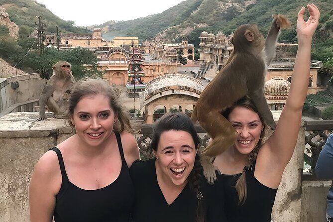 Jaipur Heritage Tour with Monkey Temple & Nahargarh Sunset - The Practicalities: What to Expect