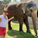 Jaipur: Night Tuk Tuk Tour with English Speaking Driver - What You Can Expect on the Tour