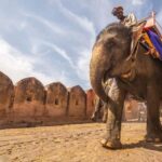 Jaipur Private Day Tour by Car with a Guide - An In-Depth Look at the Jaipur Private Day Tour