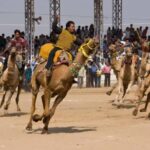 Jaipur: Private Same-Day Trip to Ajmer & Pushkar - Practical Details and What to Expect