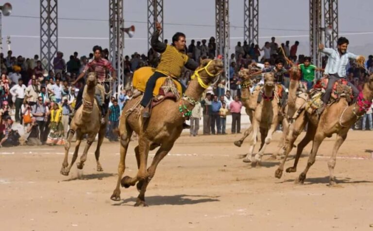 Jaipur: Private Same-Day Trip to Ajmer & Pushkar - Practical Details and What to Expect