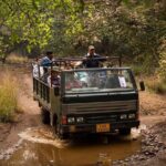 Jaipur to Ranthambore Day Trip with Safari and Transfers - In-Depth Look at the Itinerary