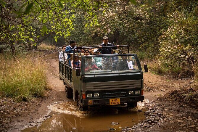 Jaipur to Ranthambore Day Trip with Safari and Transfers - In-Depth Look at the Itinerary