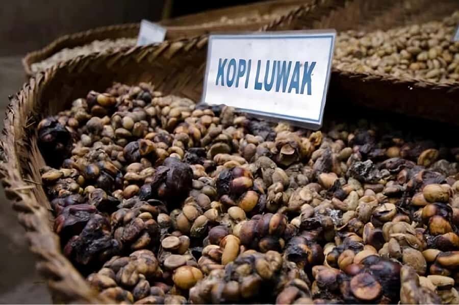 Jakarta: Bandung Volcano Day Tour - Practical Tips for the Tour