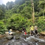 Jakarta: Botanical Garden & Rainforest Trekking to Waterfall - What Does the Tour Offer in Terms of Value?