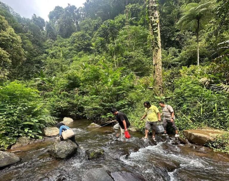 Jakarta: Botanical Garden & Rainforest Trekking to Waterfall - What Does the Tour Offer in Terms of Value?