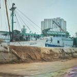 Jakarta City Tour Cultural Immersion Herbal Drinks & Hidden Gems - Why This Tour Provides Great Value