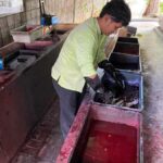 Jakarta Old Town Tour with Batik Workshop - Authenticity and Traveler Testimonials