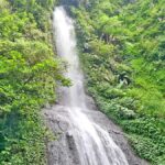 Jakarta Private Tour Safari Park, Tea Plants & Waterfall - A Deep Dive into the Experience