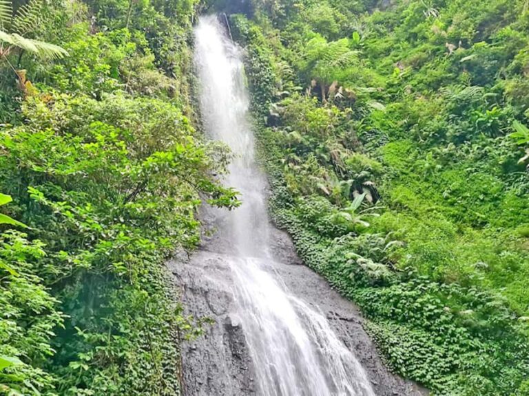 Jakarta Private Tour Safari Park, Tea Plants & Waterfall - A Deep Dive into the Experience