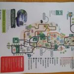 Jakarta : Safari Park Show, Tea Plantation & Waterfall - A Deep Dive into the Experience