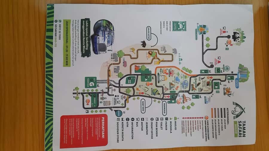 Jakarta : Safari Park Show, Tea Plantation & Waterfall - A Deep Dive into the Experience