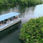 Jamaica: Black River Safari Guided Tour and YS Falls Tour - Value for Money and Overall Impression