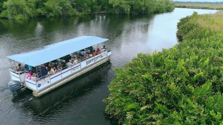 Jamaica: Black River Safari Guided Tour and YS Falls Tour - Value for Money and Overall Impression
