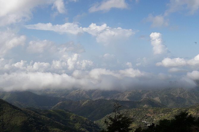 Jamaica Blue Mountain Guided Nature Tour - The Value of the Experience