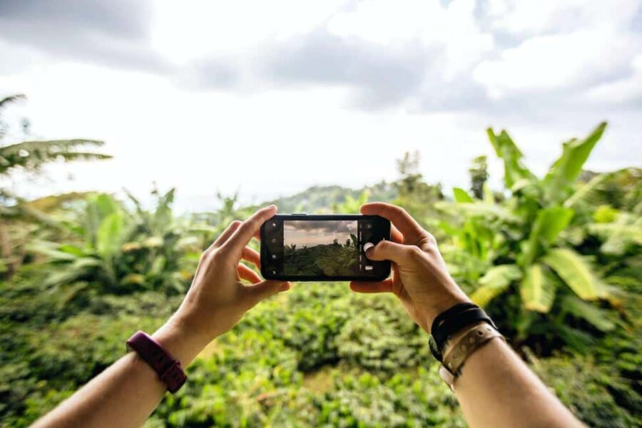 Jamaica: Blue Mountains Full Day Tour with Brunch & Lunch - The Itinerary in Detail: What Really Makes It Special