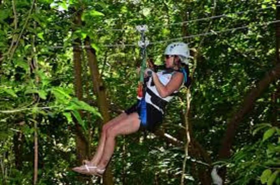 Jamaica Bobsled and Zip Line Adventure Tour - The Value of This Tour