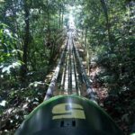 Jamaica Bobsled (Mystic Silver) Adventure Tour - Timing and Practical Details