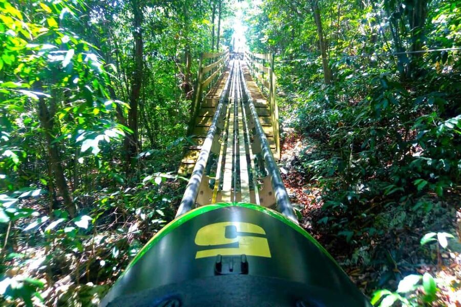 Jamaica Bobsled & Zipline (Mystic Gold) from Montego Bay - The Practical Details