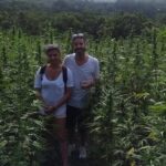 Jamaica Farm Private Dispensary Tour Montego Bay - What the Reviews Say