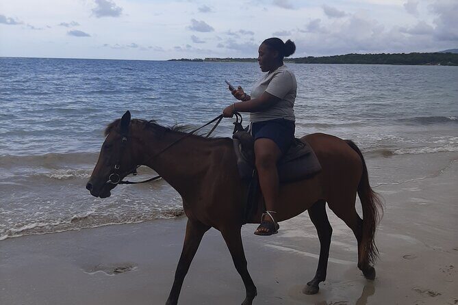 Jamaica Horse Ride Tour with Lunch and Shopping - Practical Details and Why They Matter