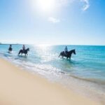 Jamaica: Private Horseback Ride and Swim in the Sea - The Itinerary Breakdown