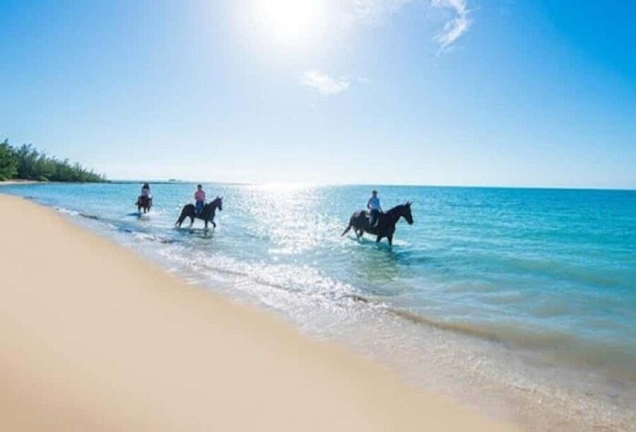 Jamaica: Private Horseback Ride and Swim in the Sea - The Itinerary Breakdown
