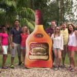 Jamaica South Coast 2 in 1 Tour - Why Consider This Tour?