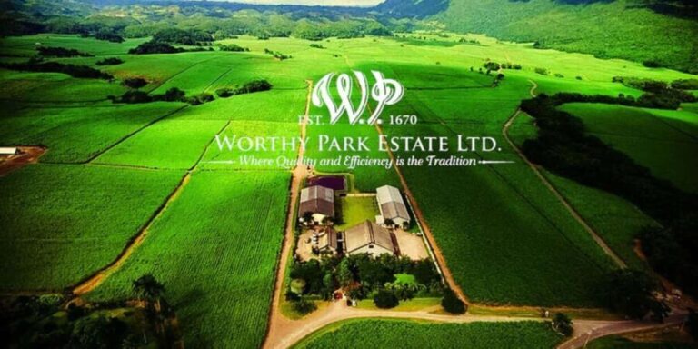Jamaica: Worthy Park Rum Estate Tour - A Closer Look at the Worthy Park Rum Estate Tour