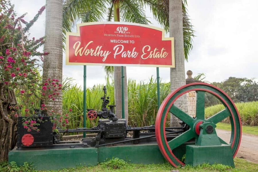 Jamaica: Worthy Park Rum Estate - Who Will Love This Tour?