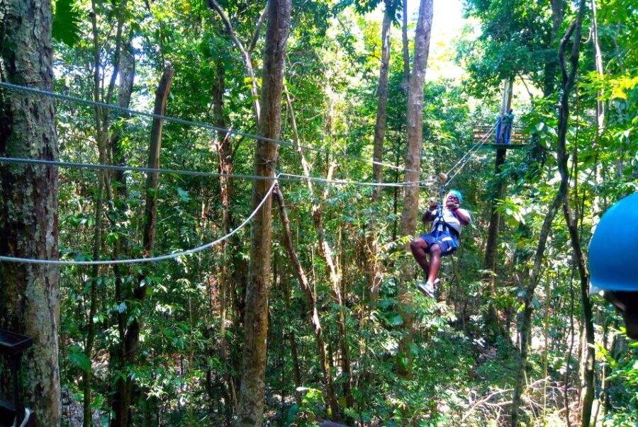 Jamaica Zipline Adventure (Mystic Silver) from Falmouth - Why the Views Matter