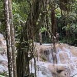 Jamaican Escapade Experience Dunn's River's Natural Majesty - Exploring Lush Gardens and Local Markets