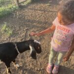 Jamaican Farm Life, Local Beach Experience - Family Friendly - What Recent Travelers Say